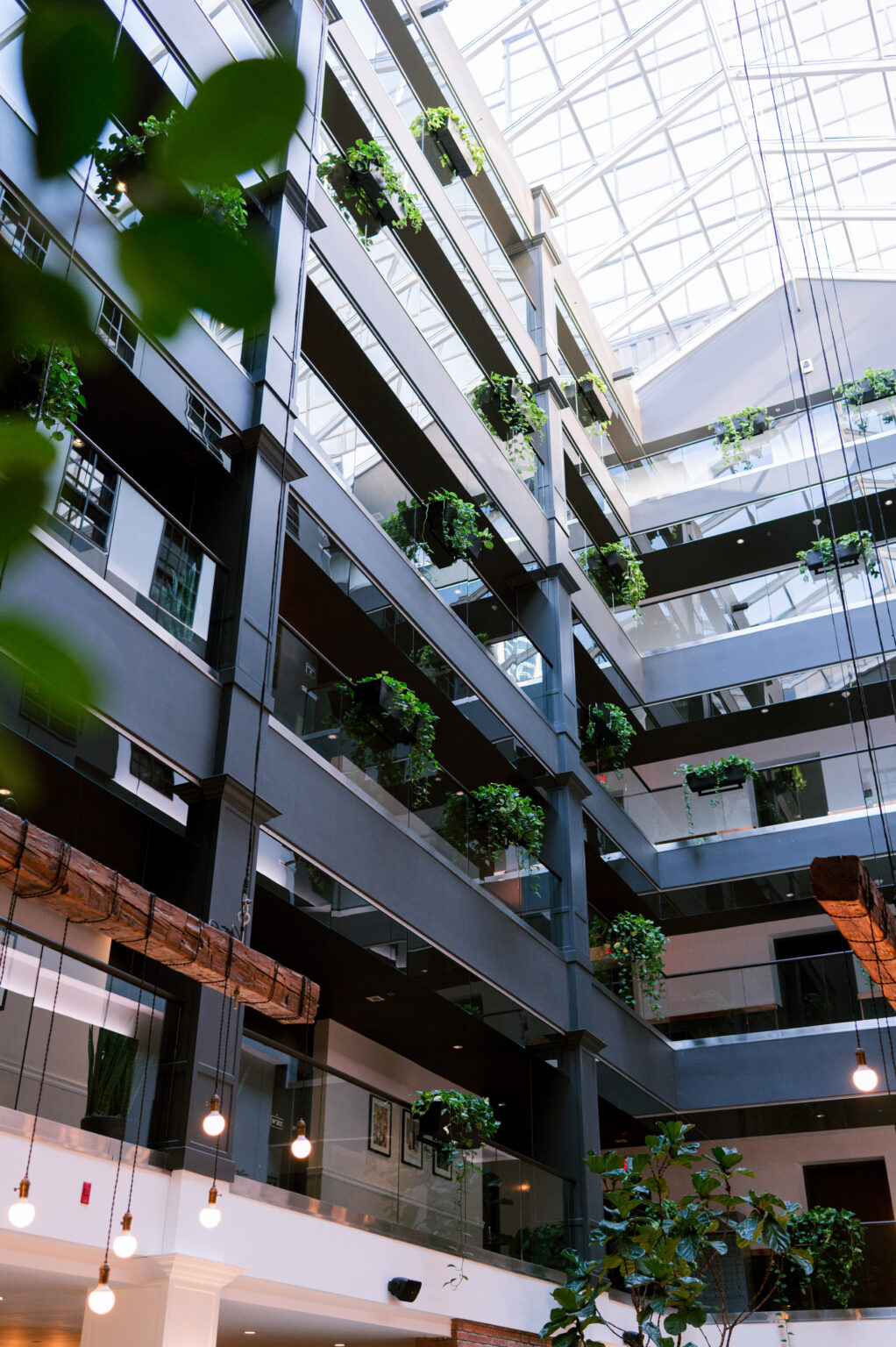 The Ultimate Guide to Eloping at City Hall in Ottawa